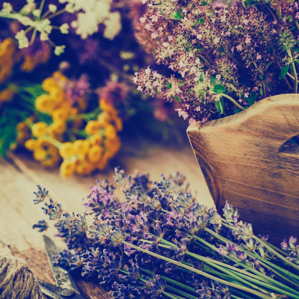 Magick On Your Mind | Witchcraft Workshop