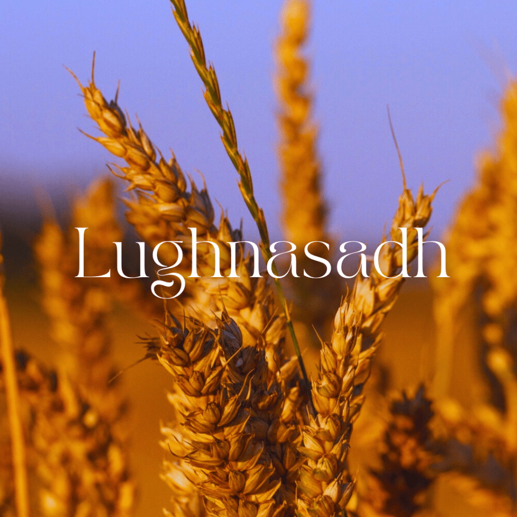Lughnasadh Solitary Course | Celebrate the Summer Harvest